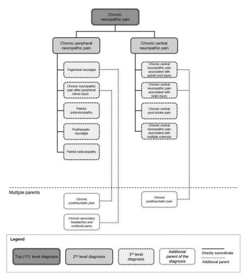 Neuropathic pain: definition, diagnosis classification and assessment ...